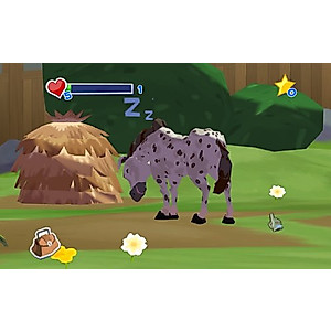 World of Zoo - Nintendo DS