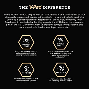 Victor Super Premium Dog Food – Performance Dry Dog Food – 26% Protein for Active Adult Dogs – Includes Glucosamine and Chondroitin for Hip and Joint Health, 5lbs