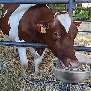 Automatic Water Feeder Trough Bowl with 1 Pipe Hose, with 2 Float Ball Valves and 1 Double Female Brass Swivel Connector, Stainless Steel Automatic Water Dispenser for Dog Pig Horse Cattle Goat Tool