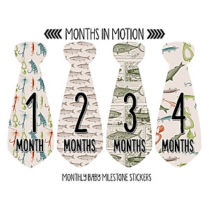 Months In Motion Monthly Baby Tie Stickers - Boy Month Milestone Necktie Sticker - Onesie Month Sticker - Infant Photo Prop for First Year - Shower Gift - Newborn Keepsakes - Fish Fishing