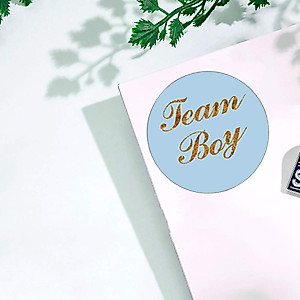 80 PCS Gold Gender Reveal Stickers Team boy and Team Girl Baby Shower Sticker Labels Round Circle Labels Stickers