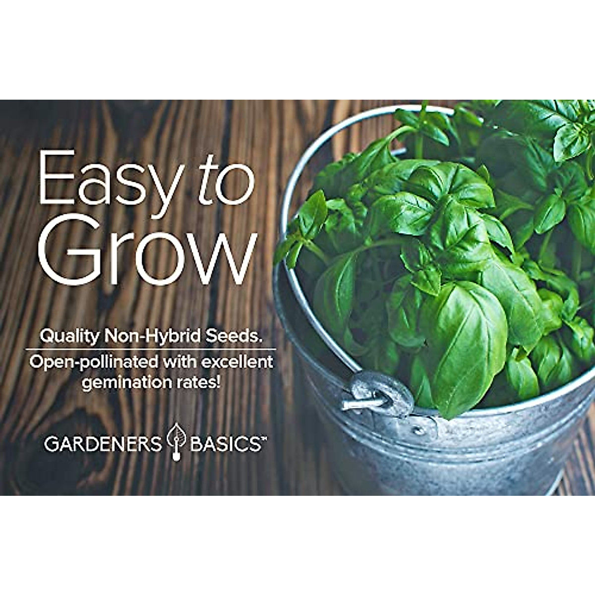 Genovese Basil Seeds for Planting Heirloom Non-GMO Herb Plant Seeds for Home Herb Garden Makes a Great Gift for Gardening by Gardeners Basics