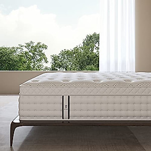 BedStory Queen Mattress, 14 Inch Deep Sleep Firm Mattress - Made in USA - Extra Lumbar Support - Pain-Relief - Memory Foam Hybrid Euro Top Mattress, Individually Wrapped Pocket Coils
