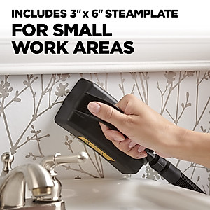 Wagner Spraytech 2439019 725 Wallpaper Steamer, Steam Cleaner for Easy Wallpaper Removal, 2 Steam Plates Included
