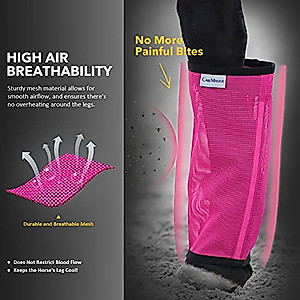 CareMaster Fine Mesh Fly Boots Loose Fitting & Non-Slip Horse Fly Leggings No More Horsefly Nuisance Greatly Reduce Stomping Breathable with Natural Air Flow (Set of 4) Magenta Medium