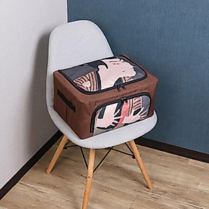 ASTRO Clothes Storage Bag, Clothes Storage Bins Foldable Closet Organizers with wire, Zipper, Top and front bins for Sweaters, Coats, T-shirts, Blankets, Toshusai Sharaku Ukiyo-e, Gift, 900-47