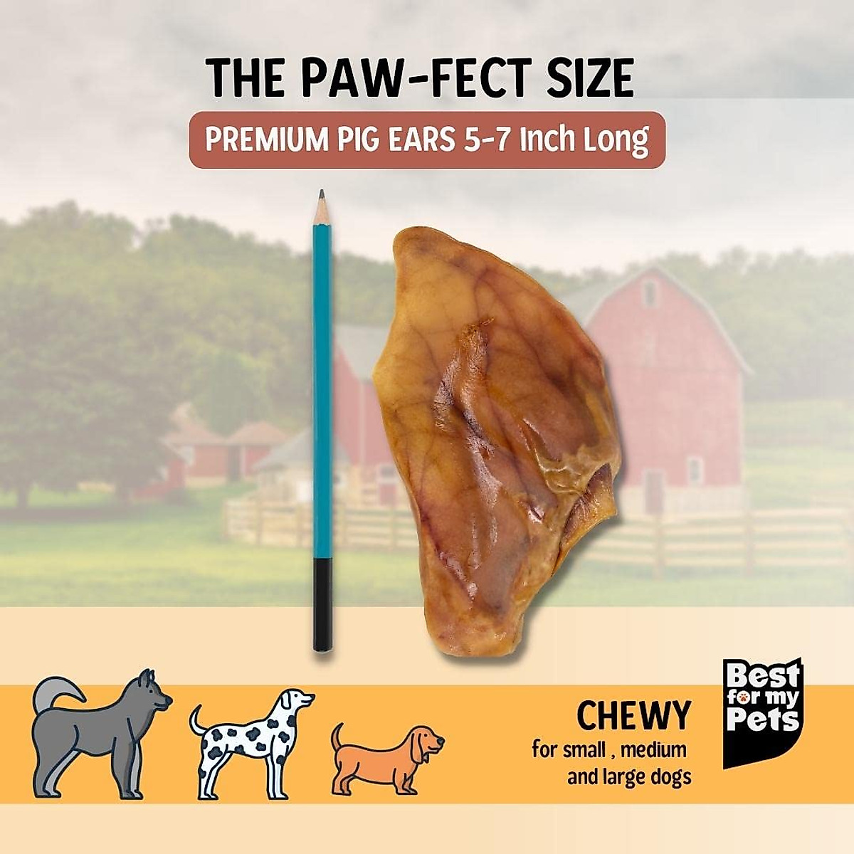 Best For My Pets Pig Ears for Dogs (Whole, 6 Pack), Healthy, Highly Digestible All Natural Pigs Ears Long-Lasting Dog Chews, Pork Dog Chew Treat