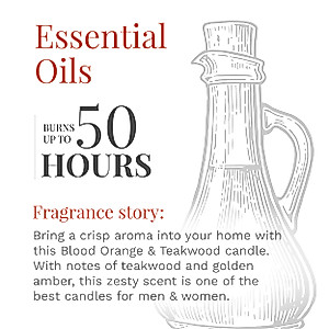 Essential Elements by Candle-lite Scented Candles Blood Orange & Teakwood Fragrance, One 9 oz. Single-Wick Aromatherapy Candle with 50 Hours of Burn Time, Off-White Color