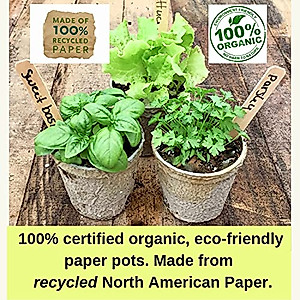 Clovers Garden Organic Recycled Paper Seed Starter Pots - 100% Biodegradable Peat-Free Pots for Seedlings - 60 (3.5" Round) Germination Pots with 24 Markers - Eco Friendly Ideal for Organic Gardening