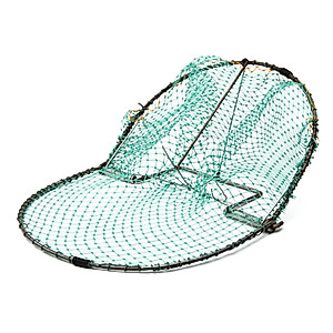 WBTY Catching Bird Net Bird Pigeon Humane Live Trap Mesh for Sparrows Pigeons Quail and Small Birds (20cm)