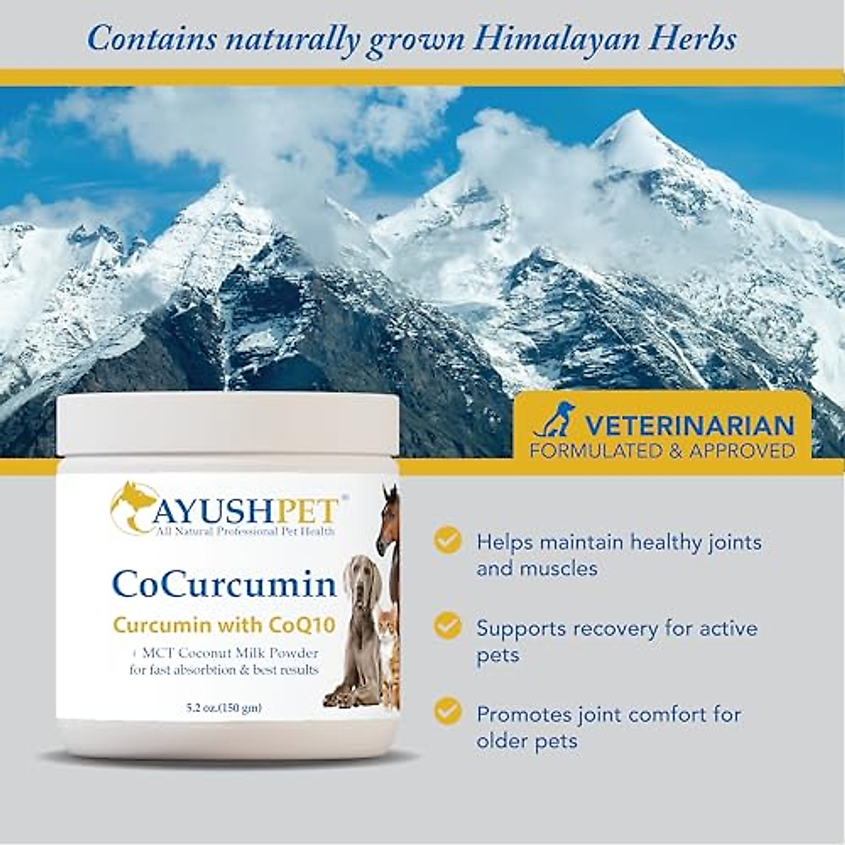 Ayush Pet CoCurcumin with Coq10, Muscle and Joint Pet Superfood Powder, Heart and Digestion Support, Small or Large Animals, Young and Senior Pet Supplement by Ayush Herbs, 5.2 Ounces