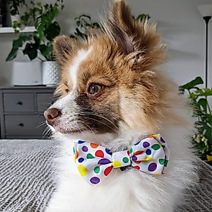Huxley & Kent Bow Tie for Pets | Happy Barkday (Small) | Birthday Velcro Bow Tie Collar Attachment | Fun Bow Ties for Dogs & Cats | Cute, Comfortable, and Durable | H&K Bow Tie