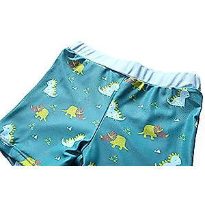 Baby Toddler Boys Two Pieces Swimsuit Set Boys Dinosaur Bathing Suit Rash Guards with Hat UPF 50+ FBA (Green Dinosaur, 2-3 Years)