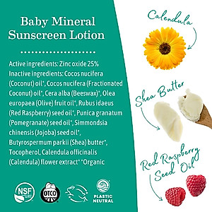 Earth Mama Baby Mineral Sunscreen Lotion SPF 40 | Reef Safe, Non-Nano Zinc, Natural Water Resistant Sun Cream for Babies, Kids & Adults, 3-Ounce