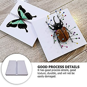 iplusmile Insect Display Box, Bug Display Board Insect Pinning Board Butterfly Mounting Spreading Board Specimen Spreading Board for Science Education