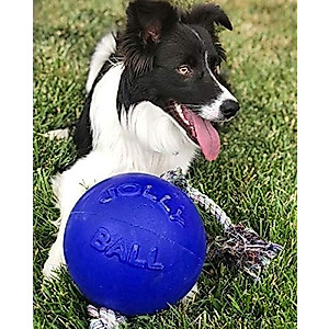 Jolly Pets Romp-n-Roll Rope and Ball Dog Toy, 8 Inches/Large, Blue, Model:608 BL