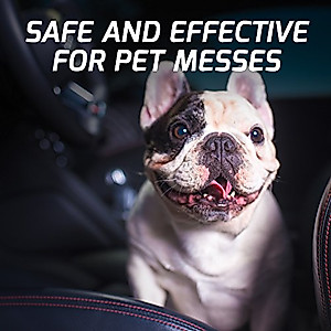 Turtle Wax 50827 Power Out! Fresh Clean All-Surface Cleaner Triple Fresh & Microfiber Towel