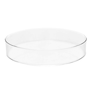 EISCO Petri Dish - 90 x 15mm - Soda Glass