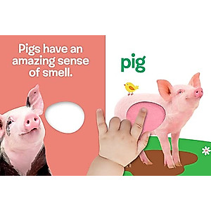 Touch and Feel Farm Animals - Novelty Book - Children's Board Book - Interactive Fun Child's Book