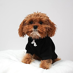 Stealing Hearts & Blasting Farts Valentine's Day Pullover Fleece Lined Dog Hoodie with Leash Hole (Red Hooded Sweatshirt)