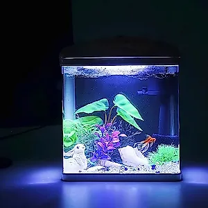 TARARIUM Glass Betta Fish Tank Set Up Aquarium Starter Kit Small Nano 2 Gallon with Waterfall Filter and Planted Light, Self Cleaning for Shrimp Goldfish Desktop Office Home Room Decor