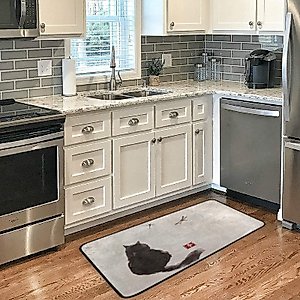 Retro Black Fluffy Cat Dragonfly Kitchen Floor Mat Bath Runner Rug Non Slip Area Mat Rug Absorbent Comfort Standing Mat Carpet for Indoor Outdoor Doormat 39 x 20 Inch