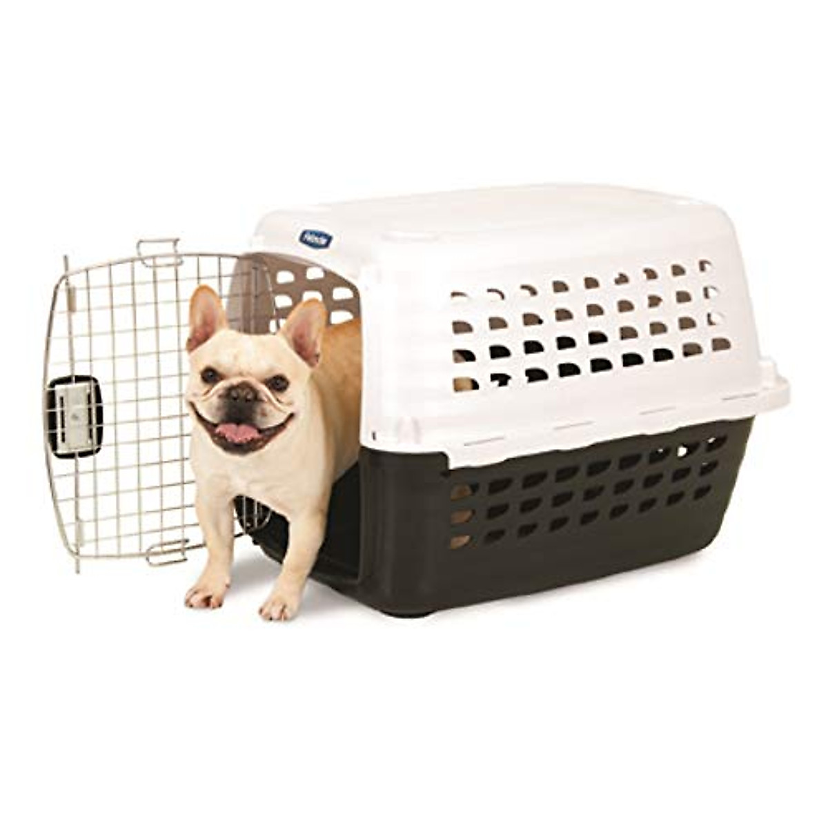 Petmate Compass Kennel, 20-30LBS, PEARL WHITE/BLACK, Model:41033