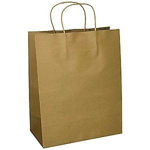 Fun Express Simple Brown Paper Gift 10.5" x 5.25" x 13" | Pack of 12 Bags, 10 1/2" x 5 1/4" x 13", 12 Pieces