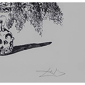 La Vida es Sueno Viellart Tete de Mort