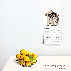 Kittens & Puppies | 2024 7 x 14 Inch Monthly Mini Wall Calendar | BrownTrout | Animals Cute Dogs Cats