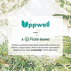 UppWell | Wooden Salt and Pepper Grinder Set & Shakers | Premium Acacia Wood Pepper Mill | Refillable, Eco-friendly, Adjustable Coarseness, Stainless Steel & Ceramic Grinders | 8 Inches, Set of 2