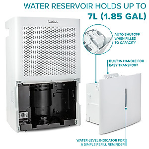 Ivation 4,500 Sq. Ft Energy Star Dehumidifier, Large Capacity Compressor De-humidifier for Extra Big Rooms and Basements w/Continuous Drain Hose Connector, Humidity Control, Auto Shutoff and Restart
