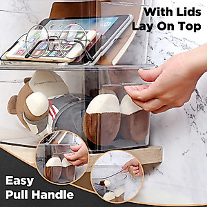 AREYZIN Clear Storage Bins with Lids Kitchen Storage and Organizer 6 Pack Stackable Refrigerator Organizer Bins Lidded Pantry Organization and Storage Containers, 6.8 Quart