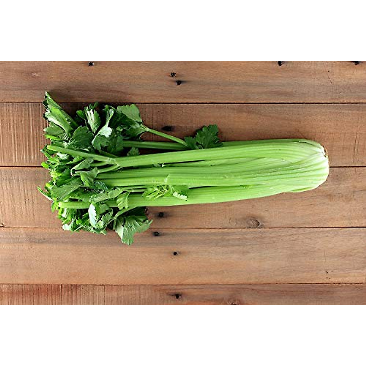 Gaea's Blessing Seeds - Celery Seeds - Tall Utah 52-70 Heirloom Non-GMO with Easy to Follow Instructions 89% Germination Rate Net Wt. 1.25g
