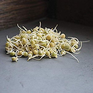 Certified Organic Dried Green Pea Sprouting Seed - 1 Lb - Handy Pantry Brand - Green Pea for Sprouts, Garden Planting, Cooking, Soup, Emergency Food Storage, Vegetable Gardening