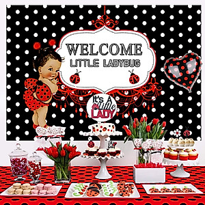 126 PCs Ladybug Baby Shower Decorations, Fiesec Ladybug Baby Shower Supplies Welcome Little Ladybug Backdrop Balloon Garland Banner Tablecloth Cake Topper Walking Balloon Polka Dots Heart Flower