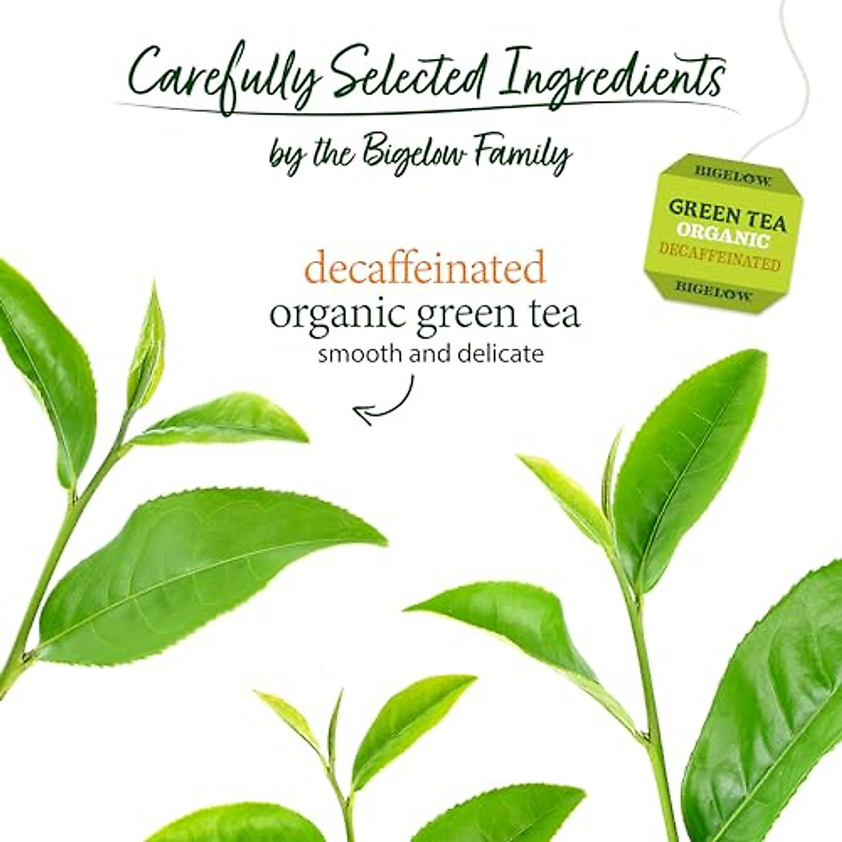 Bigelow Tea Organic Decaffeinated Green Tea, 40 Count (Pack of 6), 240 Total Tea Bags