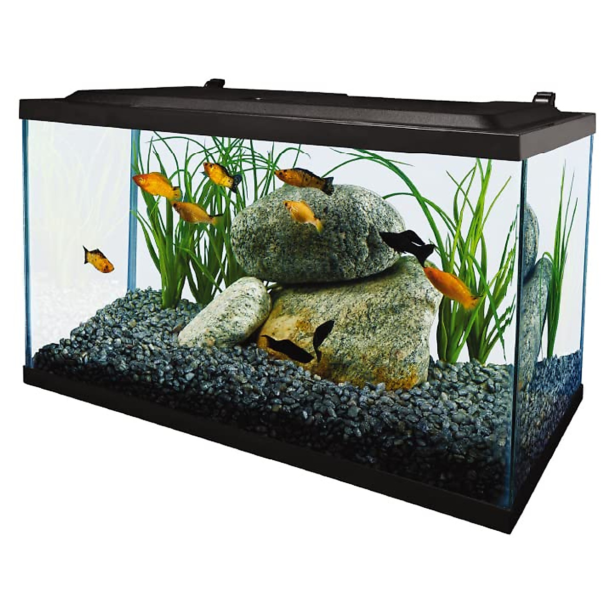 Tetra Complete LED Aquarium 10 Gallons, Includes LED Lighting, Filtration and Accessories
