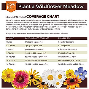 Heirloom Flower Seed Mix - 5 Pounds - Mixed Wildflower Seeds, Heirloom Seed Attracts Bees, Attracts Butterflies, Attracts Hummingbirds, Attracts Pollinators, Easy to Grow & Maintain, Container