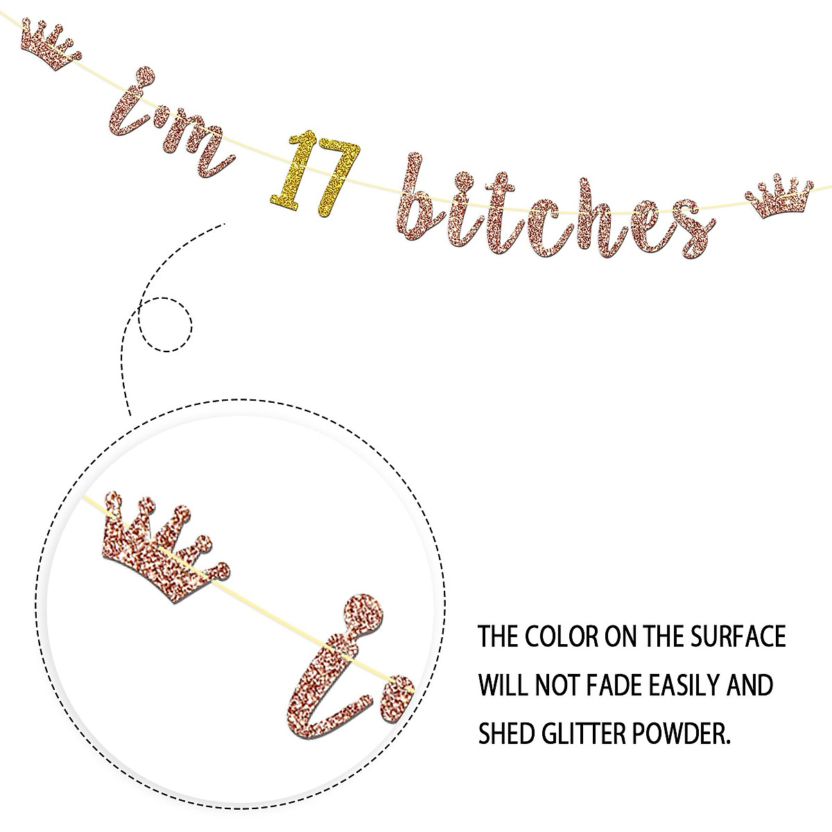 I'm 17 Bitches Banner, 17th Birthday Party Decor, Funny Seventeen Years Old Birthday Banner, Girl's 17th Birthday Party Decorations (Rose Gold)