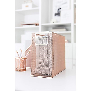 BLU MONACO 5 Piece Cute Office Supplies Rose Gold Desk Organizer Set - with Desktop Hanging File Organizer, Magazine Holder, Pen Cup, Sticky Note Holder, Letter sorter - Rose Gold Desk Accessories