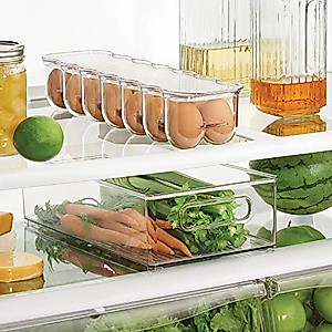 iDesign Plastic Egg Holder for Refrigerator with Handle and Lid, Fridge Storage Organizer for Kitchen, Holds up to 14, 4.25" x 14.5" x 3", Clear