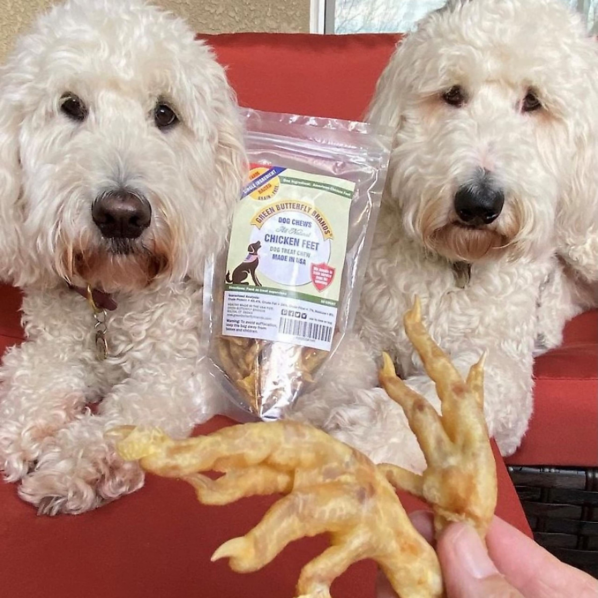 Green Butterfly Brands Dog Chews – Chicken Feet for Dogs Sourced and Made in USA. Single Ingredient All-Natural Dog Dental Chew. Chicken Feet Dog Treats Rich in Glucosamine for Joint Health 10 Pack