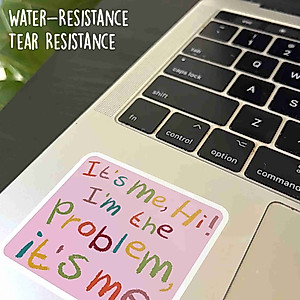 It's Me Hi I'm The Problem It's Me Stickers for Water Bottles, Phone, Laptop, Skateboard, Car Pack 3 Pcs Size 3"