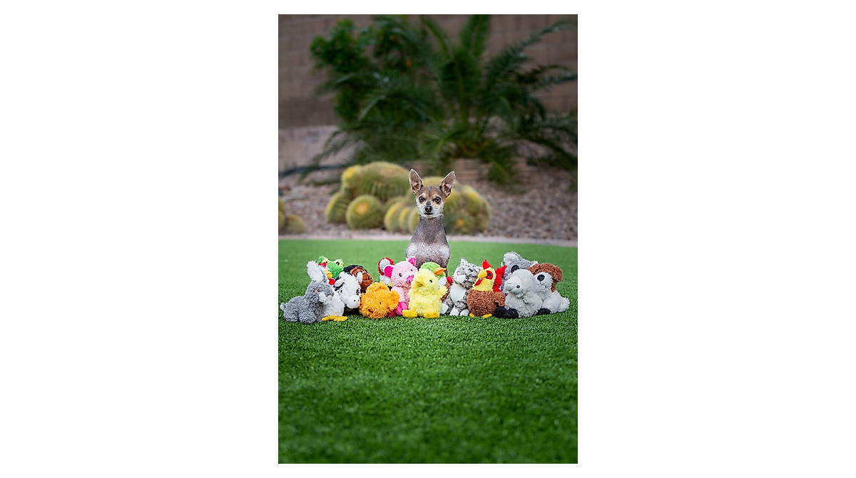 Multipet Plush Duck Toy for Dogs - 5 Inches