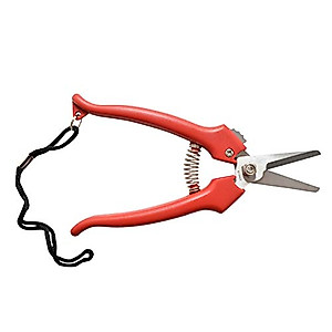 Clauss 33403 6-inch Stainless Steel Floral Lanyard 6" Cutter