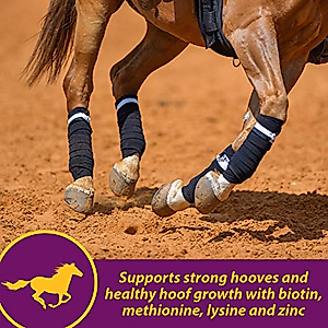 Horse Health Joint Combo Hoof & Coat, Convenient 3-in-1 horse joint supplement provides complete joint, hoof and coat care, 3.75 lbs., 30 day supply