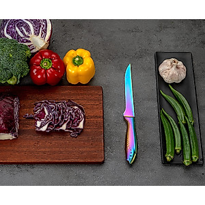 WELLSTAR Boning Knife 6 Inch, Razor Sharp German Steel Fillet Knife for Trimming Brisket/Rib/Steak/Meat, Deboning Chicken, Processing Fish/Game Meat, Rainbow Titanium Coating, Strong Durable Handle