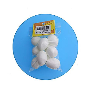 Huwaimi 13g Solid Plastic Eggs Dummy Eggs for Racing Pigeons (White 10pcs)
