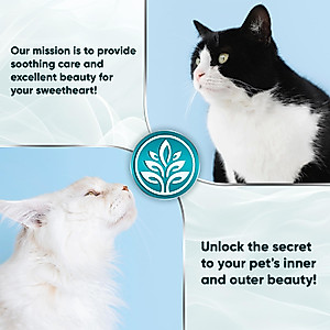 LeAcademic Cat Wound Spray | Wound Spray for Cats | Cat Wound Care Spray | Chlorhexidine for Cats | Wound Care Spray | Pet Wound Care for Cats | 4 Oz